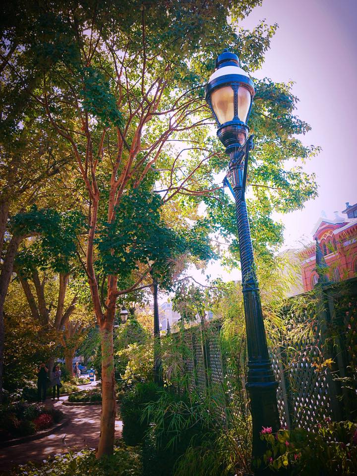 Finding a New Path – maggiemarcum